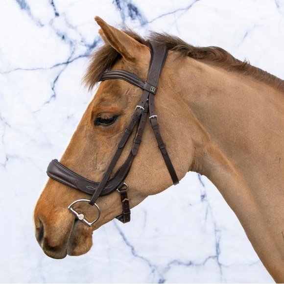 Milestone Equestrian | Other | Milestone Equestrian Harlow Bridle ...